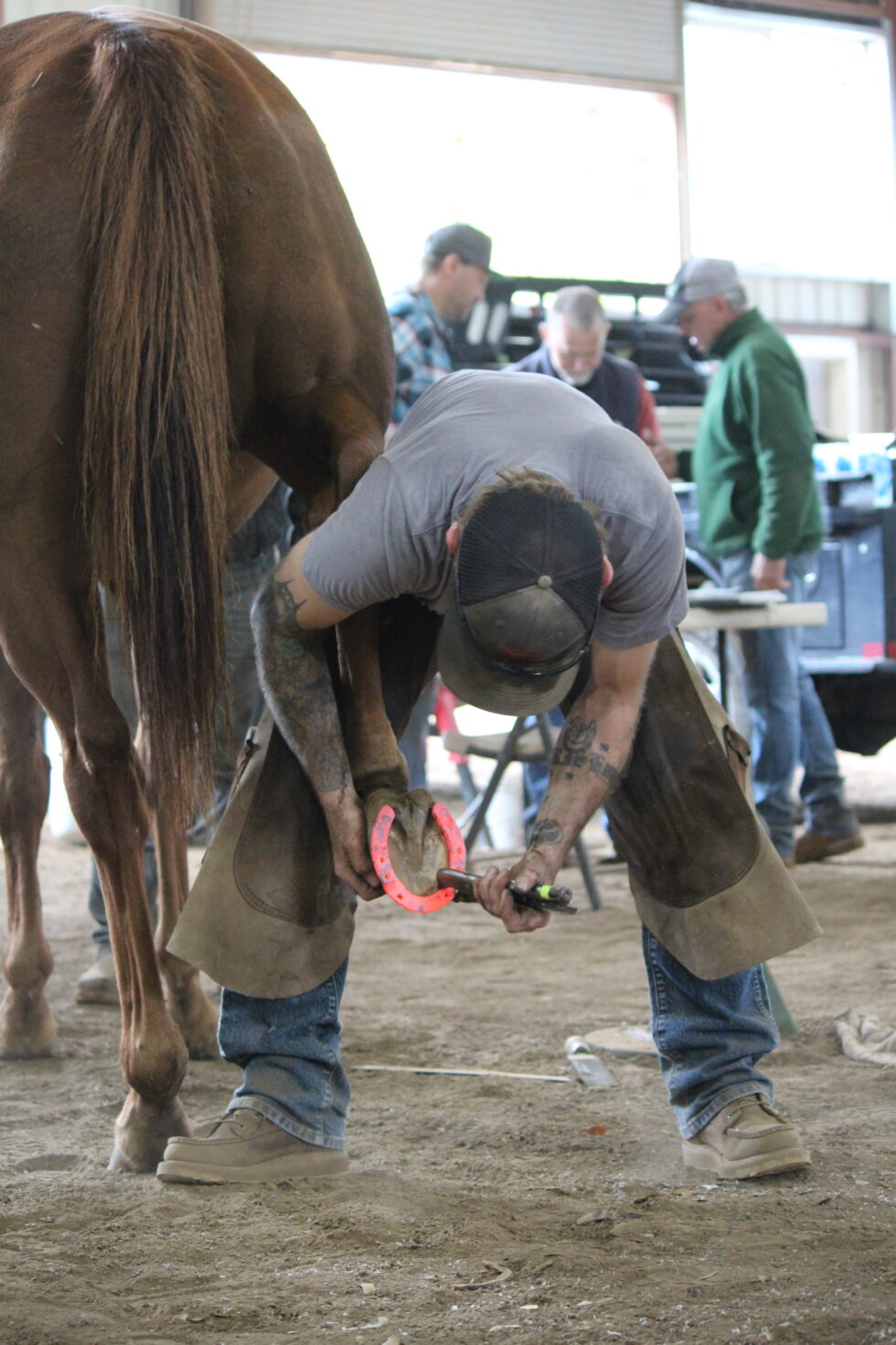 Programs | Oregon Farrier School